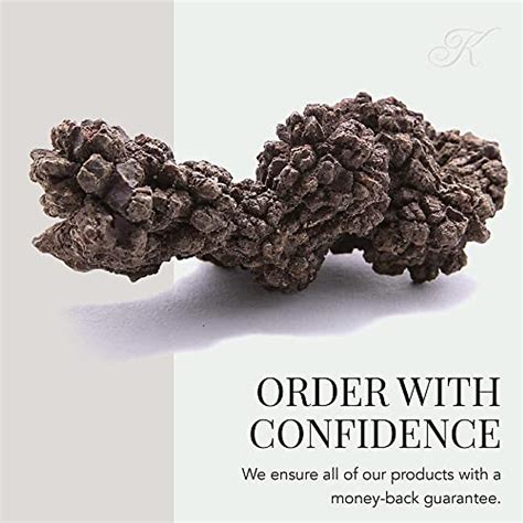 Discover Authentic Dinosaur Coprolite Fossil Limited Stock