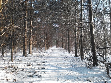 Hoffman Forest Metropark Permanently Preserved Western Reserve Land Conservancy