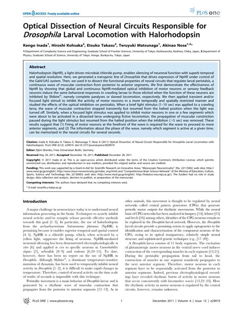 Pdf Optical Dissection Of Neural Circuits Responsible For Drosophila Larval Locomotion With
