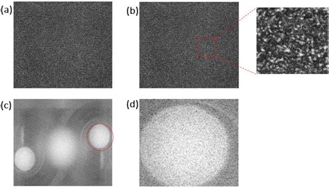 Figure 3 From Digital Holographic Interferometry For Micro Deformation Analysis Of Morpho