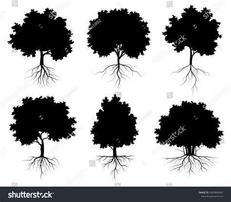Collection Silhouette Black Tree Roots Symbol Stock Vector Royalty