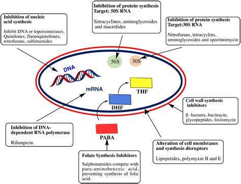 Removal Of Amoxicillin Through Different Methods Emphasizing Removal By Biopolymers And Its