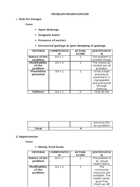 Community Problem Prioritization Pdf Public Health Health Sciences