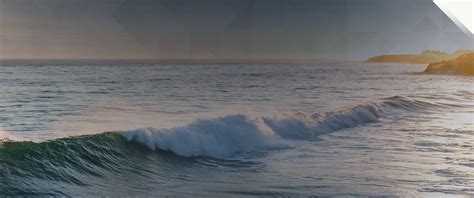 Exempt Vs Non Exempt Assets Understanding Property In Chapter 7