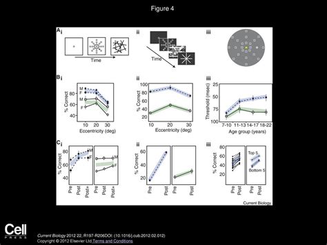 Action Video Game Modifies Visual Selective Attention At Mario Harrell Blog
