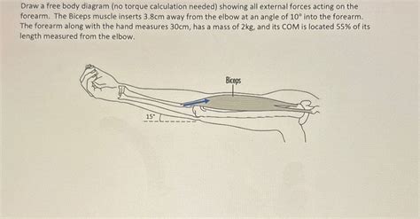 Answered Draw A Free Body Diagram No Torque Bartleby