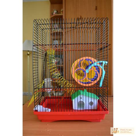 Продам клетку для хомяка, купить клетку для хомяка, Одесская обл — PetsUA