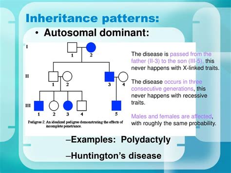 PPT Pedigree Analysis PowerPoint Presentation Free Download ID