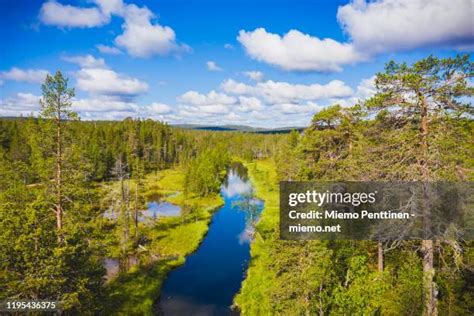 Finnish Nature Summer Photos And Premium High Res Pictures Getty Images