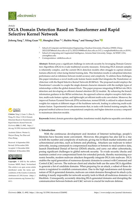 Pdf Dga Domain Detection Based On Transformer And Rapid Selective Kernel Network