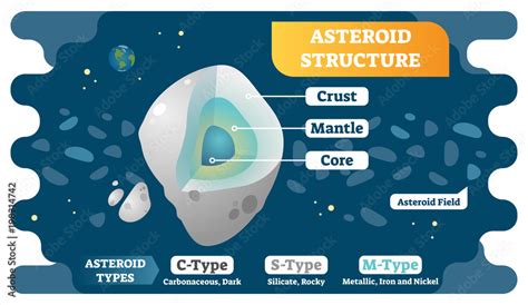 Asteroid Structure Cross Section And Asteroid Types Vector Illustration