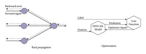 illustration of backpropagation and optimization processes in a neural download scientific