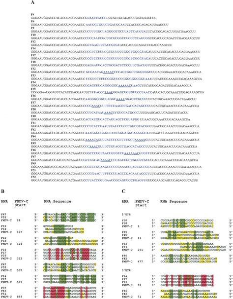 Selection And Characterization Of Rna Aptamers To The Rna Dependent Rna Polymerase From Foot And