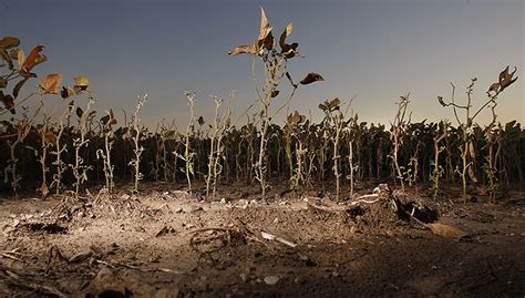 Usda Epa Release Updated Climate Adaptation Plans Green Reporter