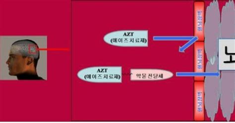 혈뇌장벽 투과가능한 약물전달 기술 개발