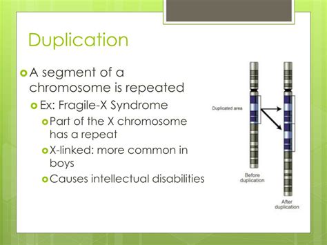 PPT Mutations Notes PowerPoint Presentation Free Download ID