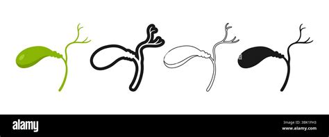 Human Gallbladder Stylized Symbol Set Anatomical Gall Bladder Body Organ Symbol On White