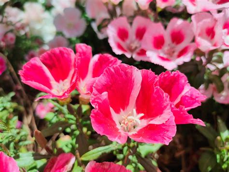 Oit By Do12345 On Deviantart