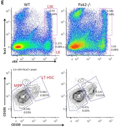 Continued E Representative Flow Cytometry Plot MeanSEM N For Download Scientific