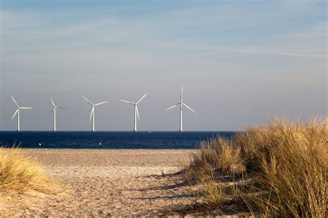 Embassy Of Denmark In The Netherlands Linkedin