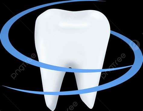 손 일러스트 으로 그린 진실 은 치아 요 소 를 파지 않 는 다 작은 신선한 이 치과 의사 Png 일러스트 및 Psd 이미지 무료 다운로드 Pngtree