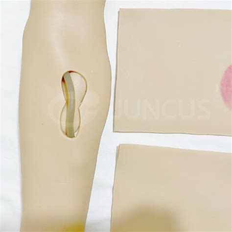Buy Wholesale China Upper Limb Abscess Incision Simulation Model