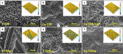 Sem Micrographs And 3d Reconstructed Interferometer Images Inserts Of
