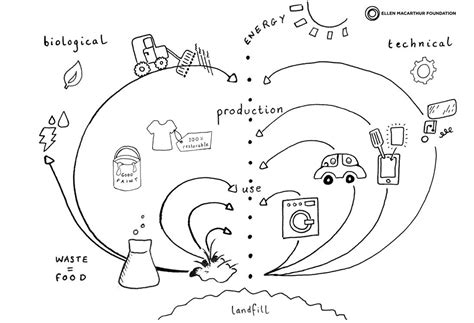 What Is Circular Design