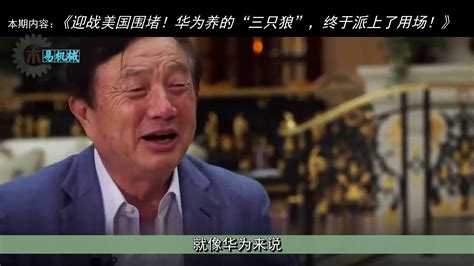 迎战美国围堵！华为养的“三只狼”，终于派上了用场！凤凰网视频凤凰网
