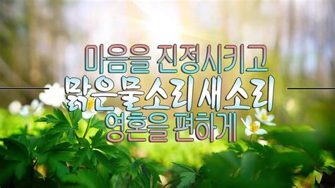 머리가 맑아지는 치유음악 🐛하루10분 만병을 치료 해주는 힐링 명상 기치료 음악 및 영상 아침명상음악 아침음악 힐링음악 명상음악 Youtube