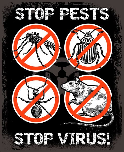 Local Home Pest Control In Bronx New York