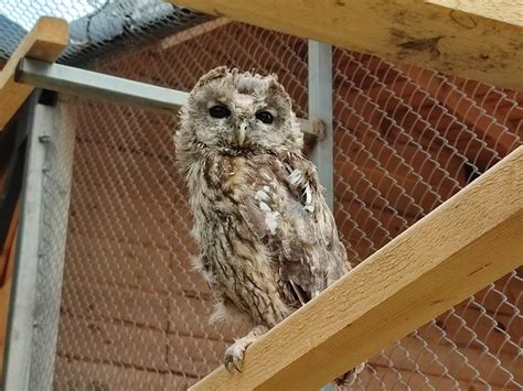 Стара Загора Зоопаркът приема дарения на тематични книги