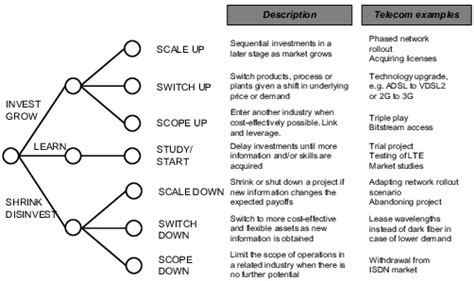 Real Options In Telecom Infrastructure Projects — A Tutorial Pdf Download Available