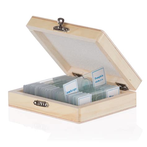 25 Glass Prepared Microscope Slides With Wooden Box Amscope Uk