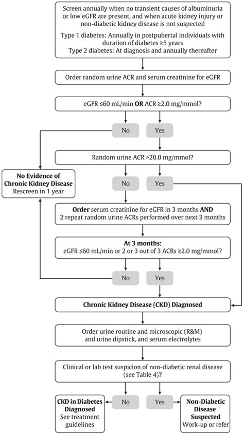 A Flowchart For Screening For CKD In People With Diabetes Diabetes Canada