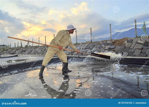 A Worker Is Slapping Water Out Of The Salt Extracting Field In The