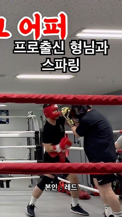 프로출신 형님과 스파링 복서 복싱 복싱스파링 인파이팅 Youtube