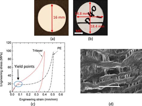 Specimen Before Out Of Plane Compression Test B Specimen After Test Download Scientific