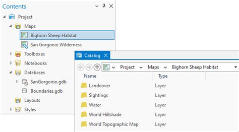 Use Catalog ViewsArcGIS Pro Documentation
