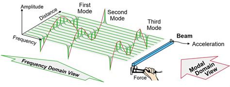 Mode Shapes Extracted From The Imaginary Part Of Frfs 141 Download Scientific Diagram