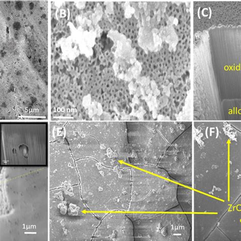 sem micrographs of aa2024 t3 specimens a unanodized degreased and