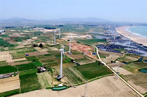 漳浦六鳌地瓜种植面积达1 4万亩产量4 2万吨 福建瑞秋农业有限公司