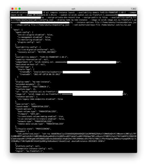Resolving Oracle Cloud Out Of Capacity” Issue And Getting Free Vps