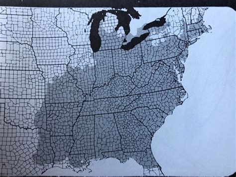 Sassafras A Unique Native Bur Oak Land Trust