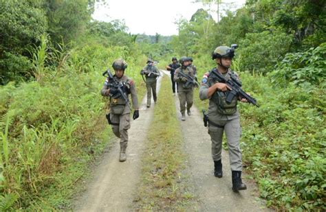 Kkb Papua Bakar Smp Negeri Kiwirok Pasukan Elite Buru Pelaku Okezone