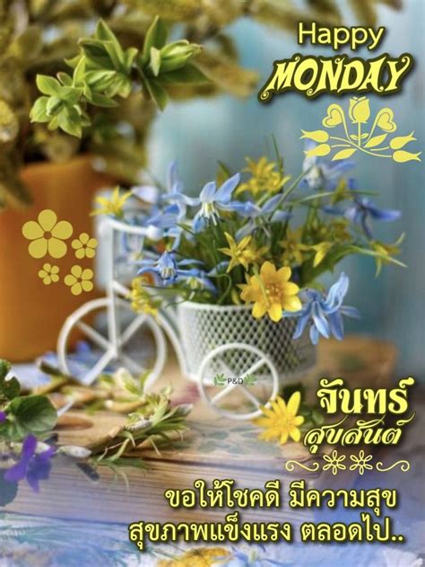 วันจันทร์🌿💛 สุขสันต์วันจันทร์ วันจันทร์ สวัสดีตอนเช้า