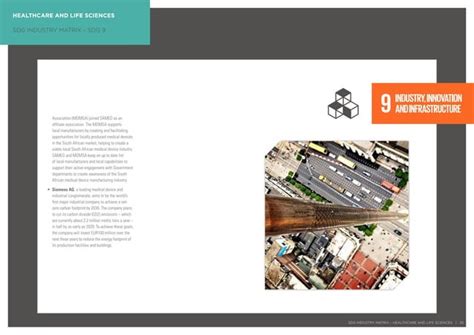 Sdg Matrix Healthcare Ppt