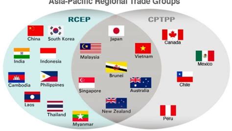 중국 Cptpp 가입 신청 공식 확인 중국경제