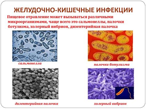 Профилактика острых кишечных инфекций ОКИ презентация онлайн