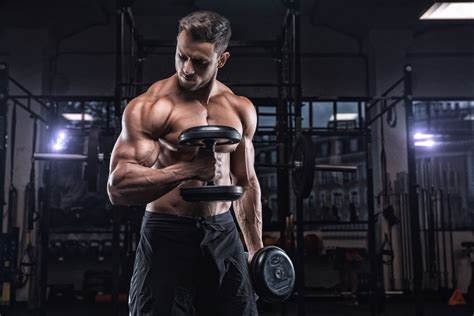 Top 20 Bodybuilding Exercises For Every Muscle Group Strengthlog